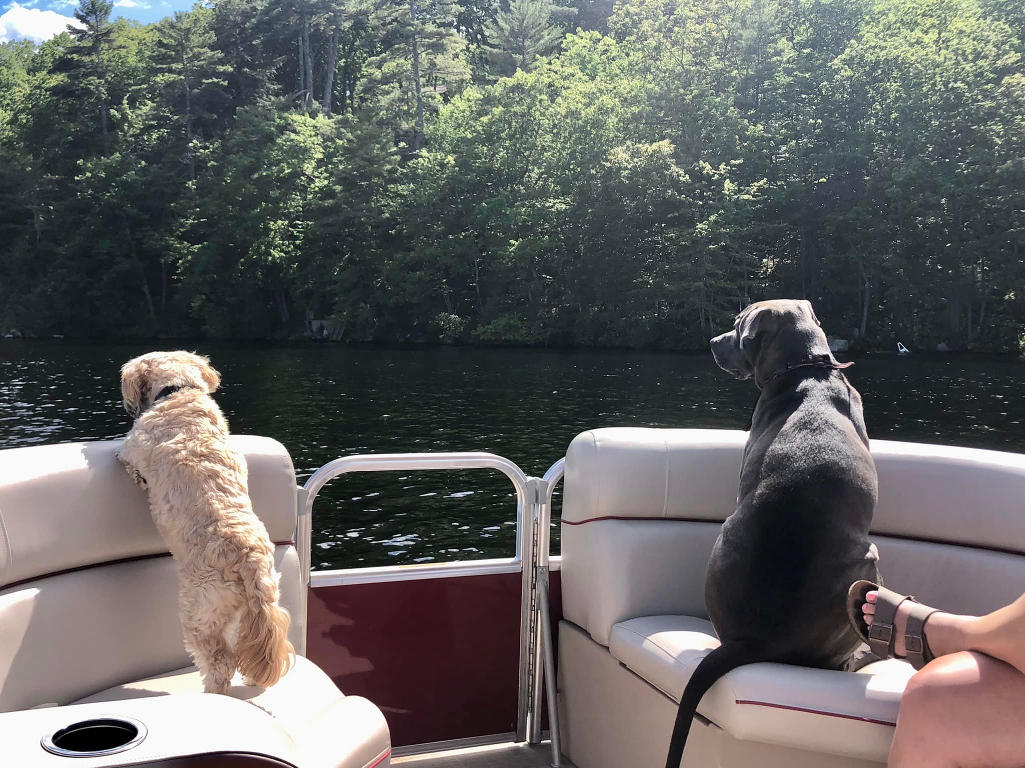 The Mirror Lake Protective Association | MLPA | Mirror Lake, NH